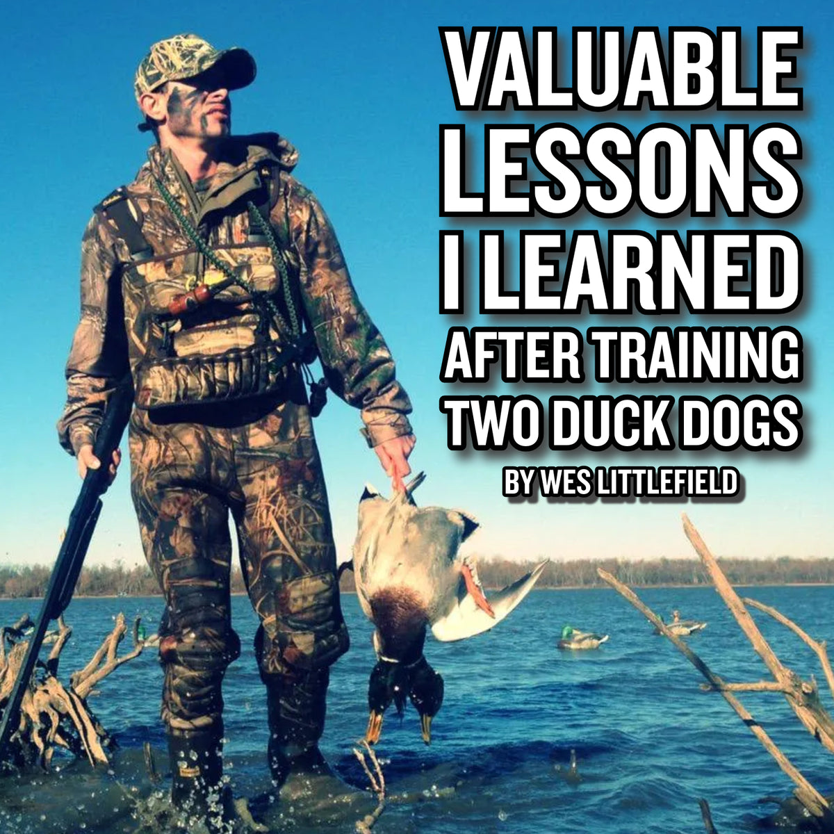 Valuable Lessons I Learned After Training Two Duck Dogs – Conkey's Outdoors