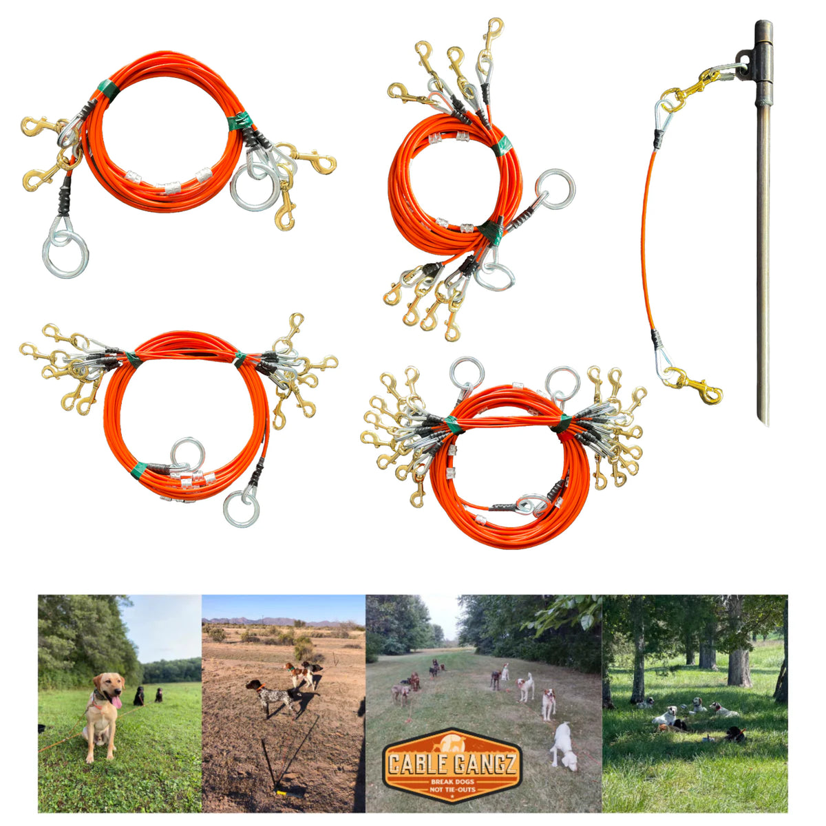 Cable Gangz Tie Out Systems – Conkey's Outdoors