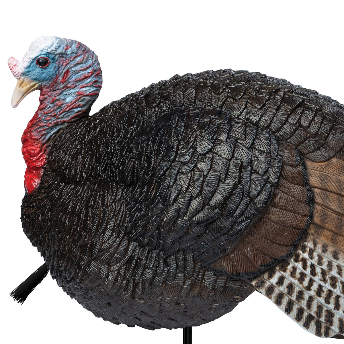 Primos Lil' Gobstopper Jake Turkey Species Multi Color – Conkey's Outdoors
