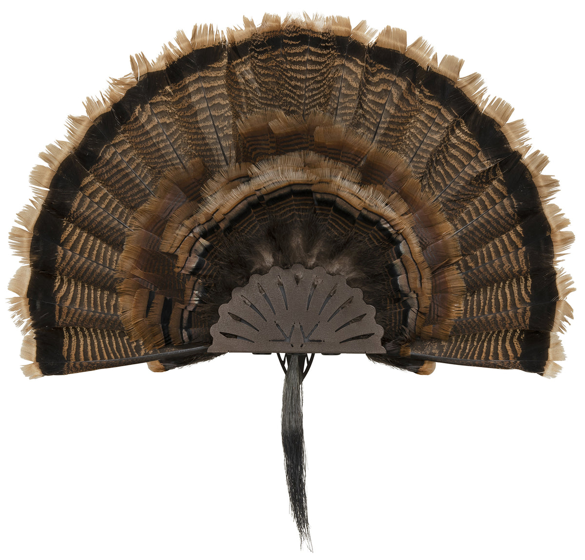 Allen EZ Mount Turkey Fan Display Wall Mount Turkey Brown Steel Includ ...